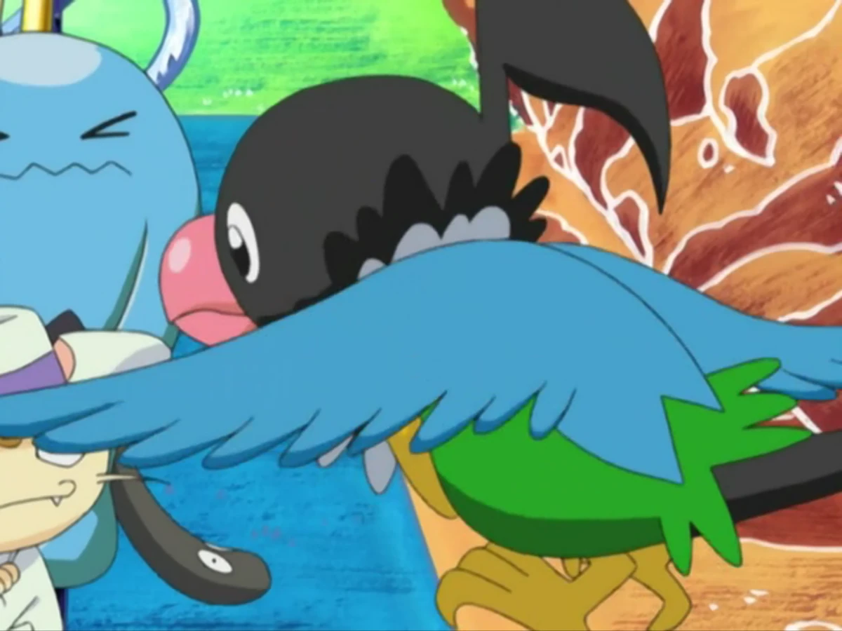 Chatot (Pikachu's Island Adventure) | Pokémon Wiki | Fandom