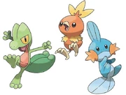 Hoenn first partner Pokémon | Pokémon Wiki | Fandom