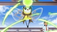Pollen Puff | Pokémon Wiki | Fandom