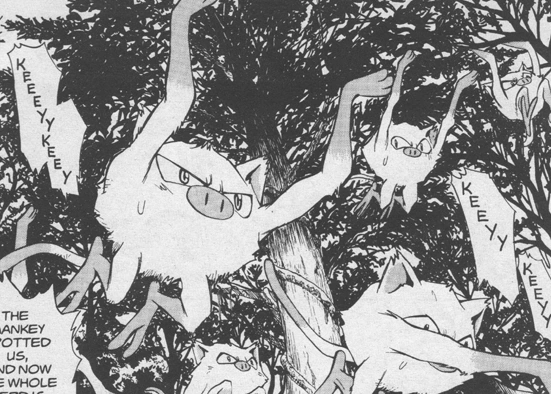 Ash's Mankey | Pokémon Wiki | Fandom