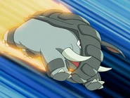 Take Down | Pokémon Wiki | Fandom