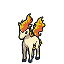 Ponyta | Pokémon Wiki | Fandom