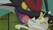 Bite | Pokémon Wiki | Fandom