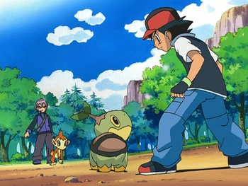 Different Strokes for Different Blokes! | Pokémon Wiki | Fandom