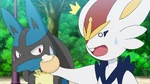 A Close Call… Practically! | Pokémon Wiki | Fandom
