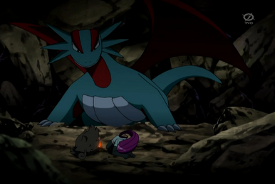 salamence x charizard