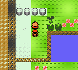 Viridian City | Pokémon Wiki | Fandom