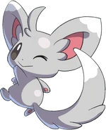 Minccino | Pokémon Wiki | Fandom