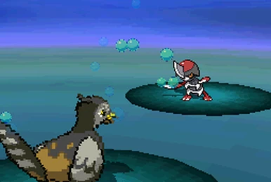 deerling evolution black 2