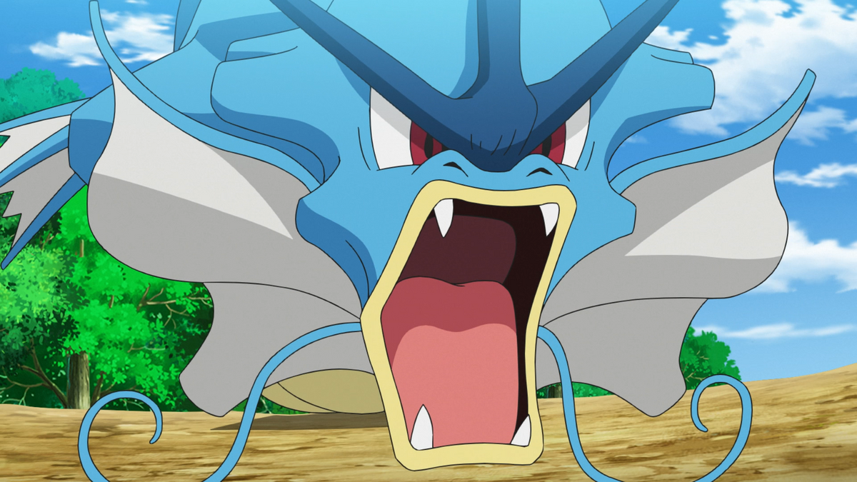 Paul's Gyarados | Pokémon Wiki | Fandom Paul's Gyarados | Pokémon Wiki | Fandom