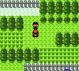 Route 38 | Pokémon Wiki | Fandom