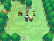 Swords of Justice | Pokémon Wiki | Fandom