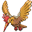 Fearow | Pokémon Wiki | Fandom