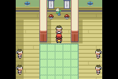 Fighting Dojo | Pokémon Wiki | Fandom