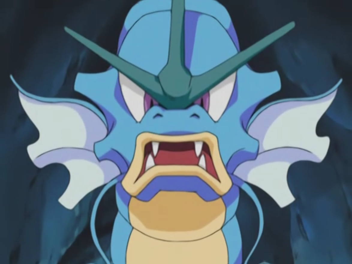 Gyarados (RS071) | Pokémon Wiki | Fandom Gyarados (RS071) | Pokémon Wiki | Fandom