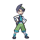 Factory Head Thorton | Pokémon Wiki | Fandom