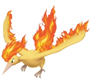 Moltres | Pokémon Wiki | Fandom