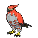 Talonflame | Pokémon Wiki | Fandom