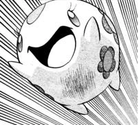 Musha | Pokémon Wiki | Fandom