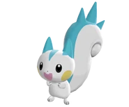 Pachirisu | Pokémon Wiki | Fandom