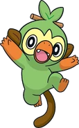 Grookey | Pokémon Wiki | Fandom