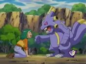 Exploud and Clear | Pokémon Wiki | Fandom