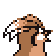 Pidgeotto | Pokémon Wiki | Fandom
