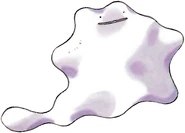 Ditto | Pokémon Wiki | Fandom