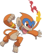 Monferno | Pokémon Wiki | Fandom