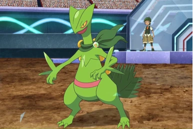 sceptile pokemon first evolution
