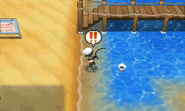 Fishing | Pokémon Wiki | Fandom