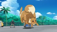 Take Down | Pokémon Wiki | Fandom