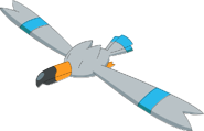 Wingull | Pokémon Wiki | Fandom