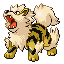 Arcanine | Pokémon Wiki | Fandom