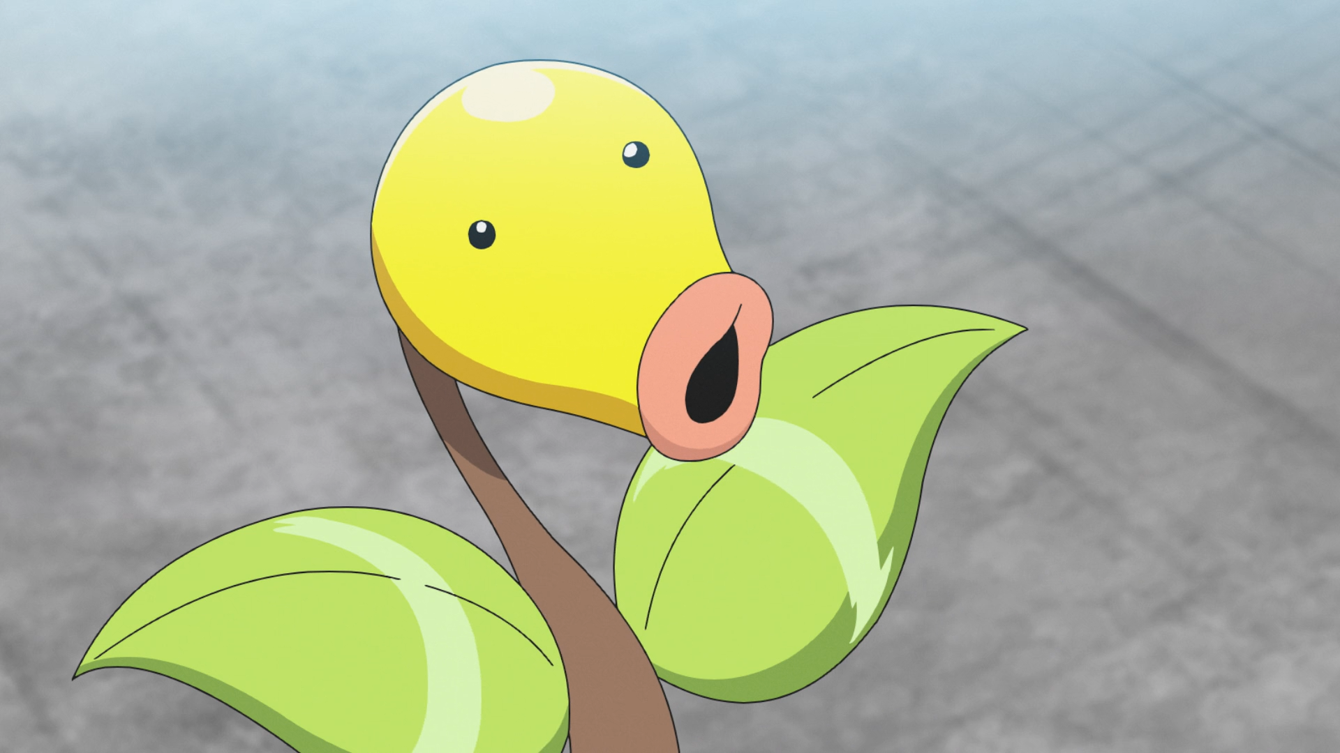 Pokemon Bellsprout Evolution Chart