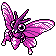 Venomoth | Pokémon Wiki | Fandom