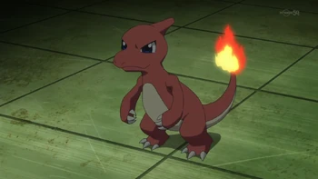 Red's Charizard | Pokémon Wiki | Fandom