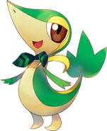 Snivy | Pokémon Wiki | Fandom