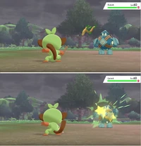 Branch Poke | Pokémon Wiki | Fandom