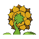 Sunflora | Pokémon Wiki | Fandom