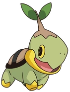 Turtwig | Pokémon Wiki | Fandom