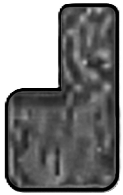 Category:Non-Pokédex Pokémon | Pokémon Wiki | Fandom