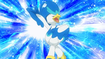 Dot's Quaxwell | Pokémon Wiki | Fandom