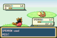 Peck | Pokémon Wiki | Fandom