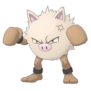 Primeape | Pokémon Wiki | Fandom