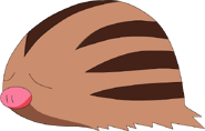 Swinub | Pokémon Wiki | Fandom