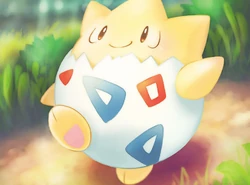 Nebbioso E Togepi TaatRob's Complete Togepi Master Collection (Looking