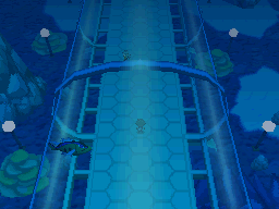 Marine Tube | Pokémon Wiki | Fandom