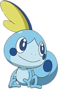 Sobble | Pokémon Wiki | Fandom