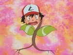 The Fortune Hunters | Pokémon Wiki | Fandom